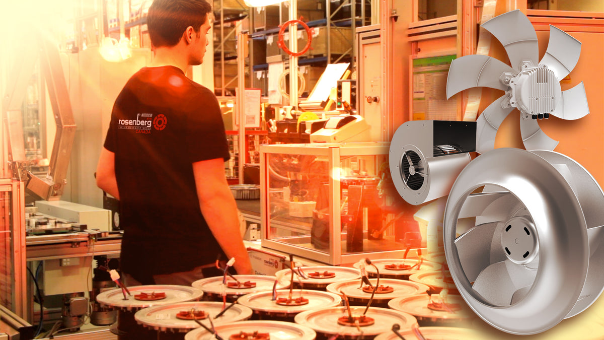 Summer-Ready With Rosenberg Fans: Maximize Energy Efficiency ...